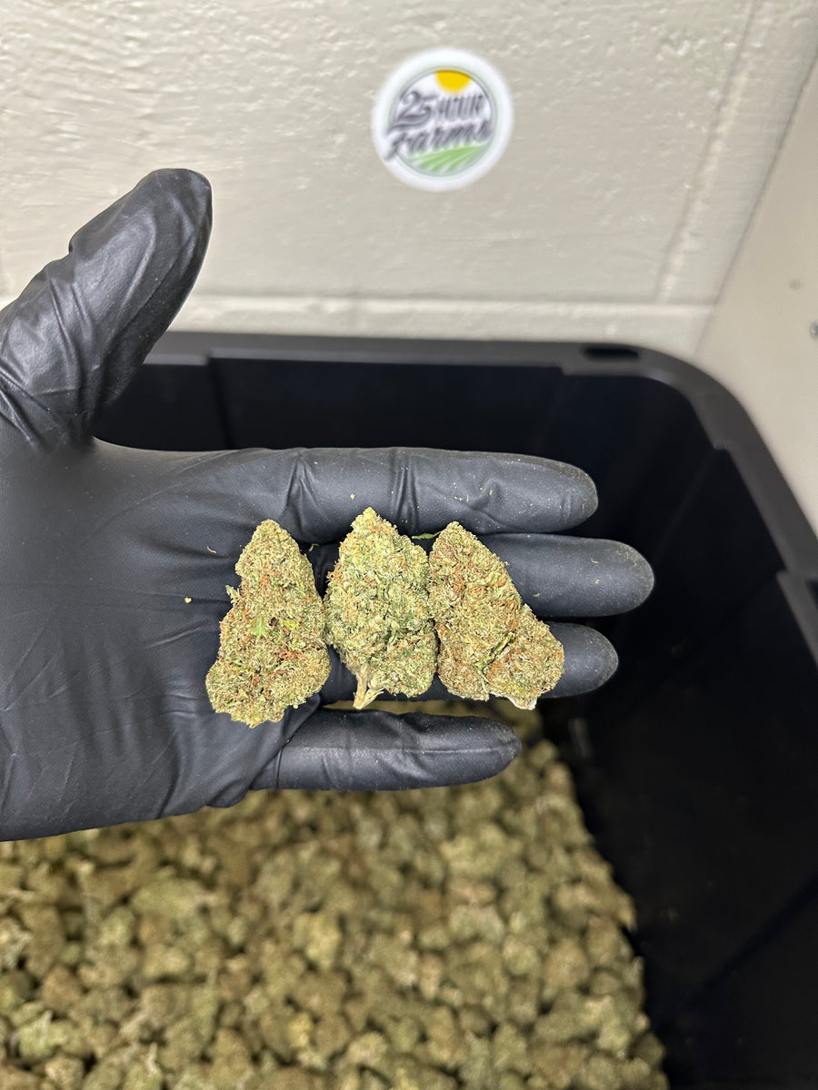 Lemon Runtz CBD Hemp Flower & 25 Hour Farms