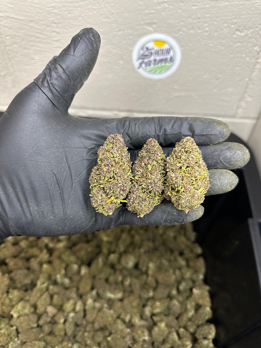 Purple Octane Hemp Flower & 25 Hour Farms