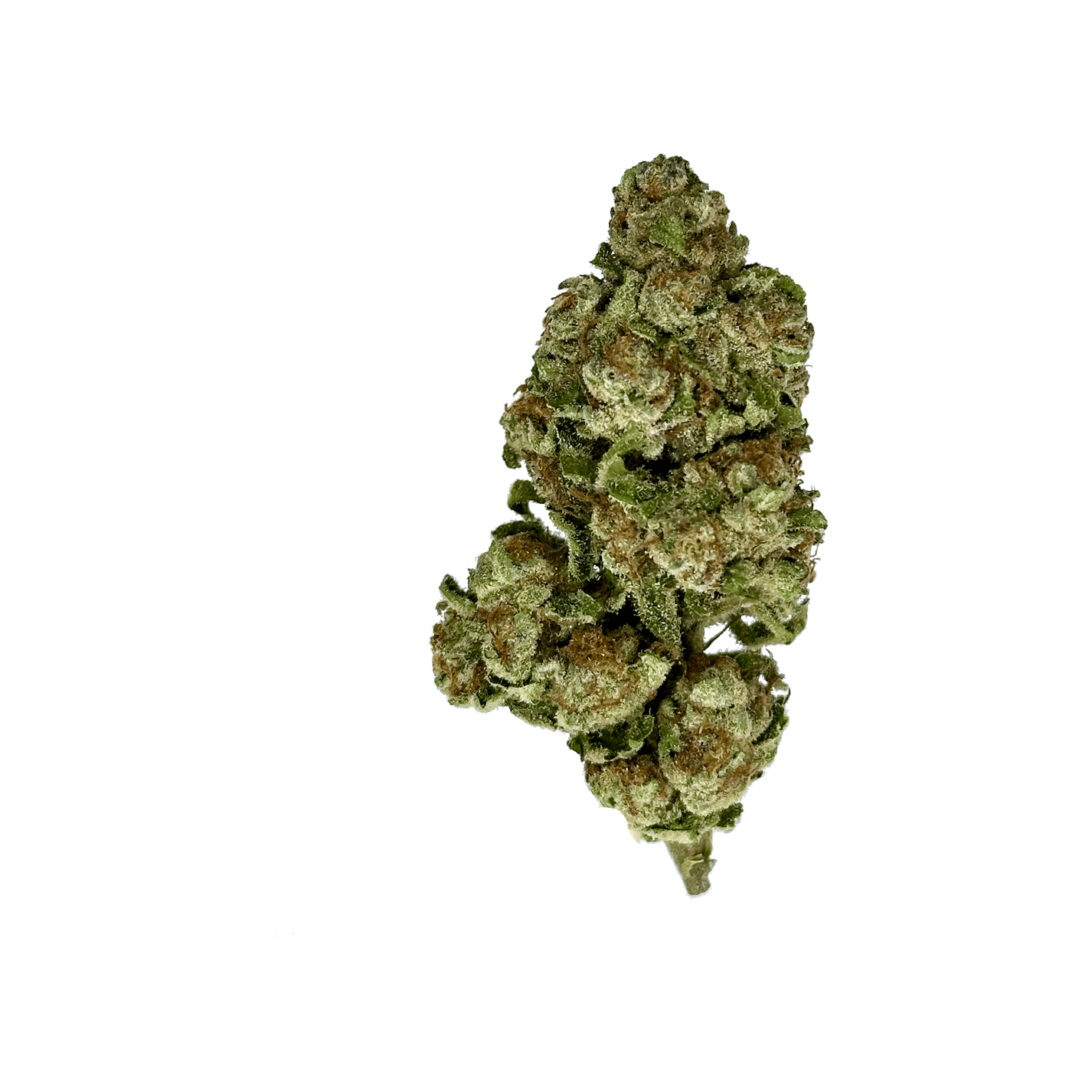 Hemp Trim and Shake - Multiple Strains Available – 25 Hour Farms