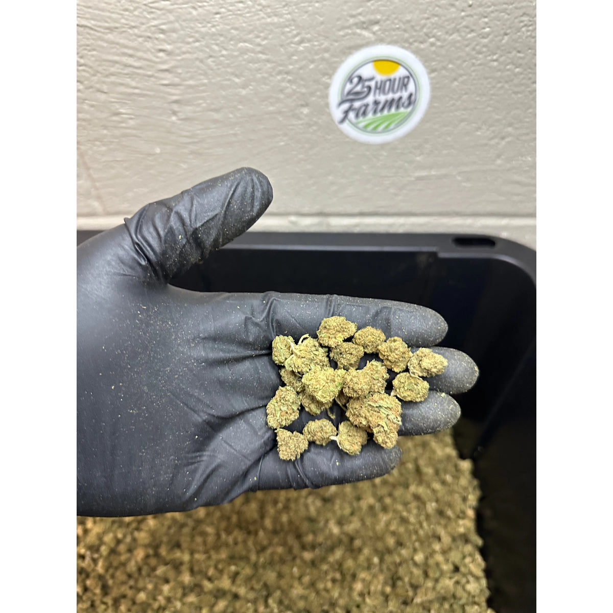 Kush Mintz Hemp Flower Smalls & 25 Hour Farms