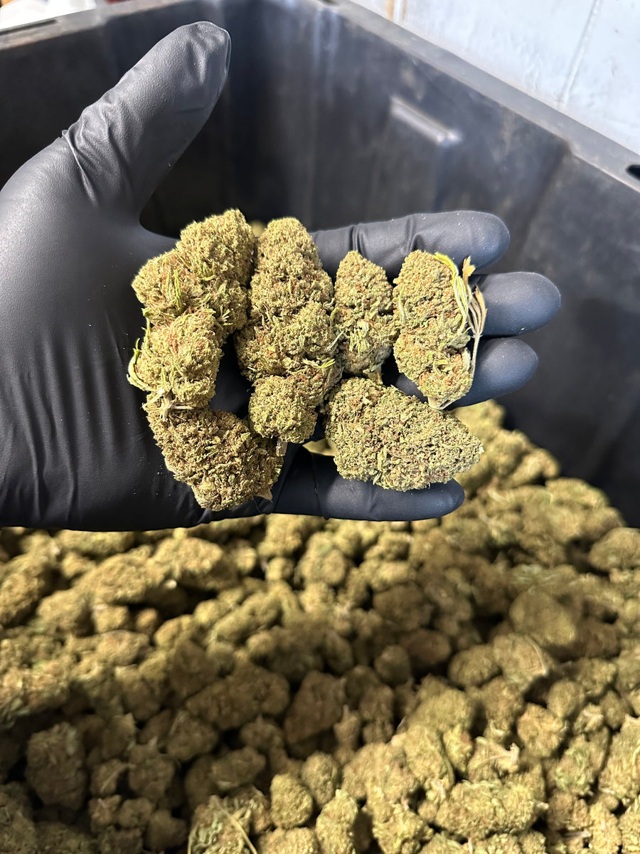 Critical Berry CBD Hemp Flower & 25 Hour Farms