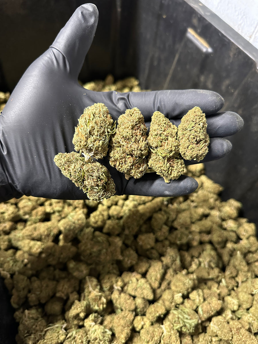 Lemon Octane Hemp Flower & 25 Hour Farms