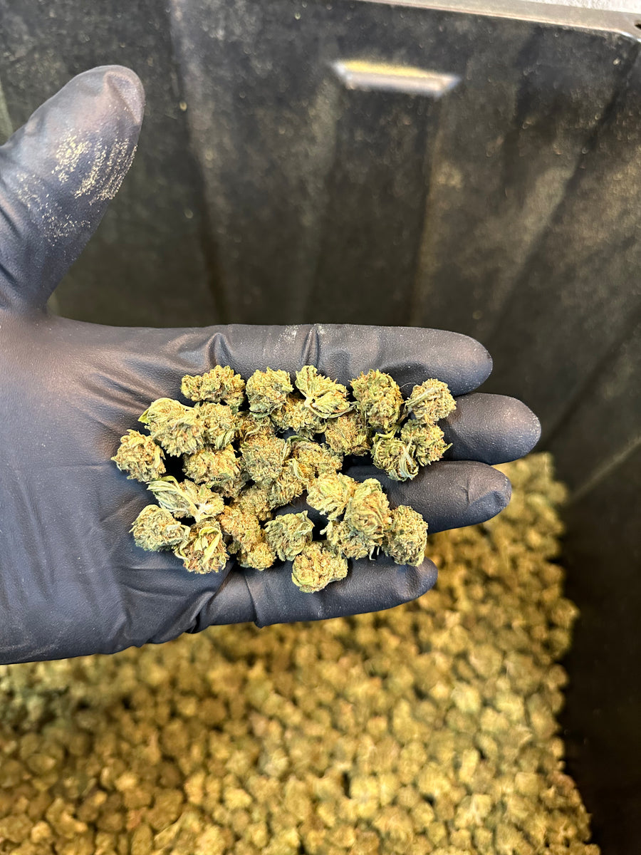 Lemon Octane Hemp Flower Smalls & 25 Hour Farms