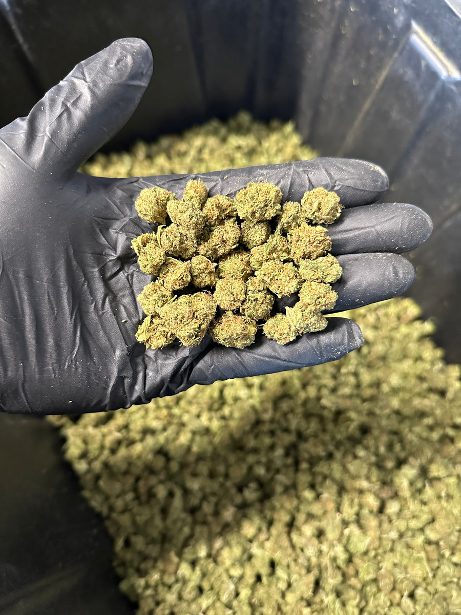 Lemon Tree Hemp Flower Smalls & 25 Hour Farms